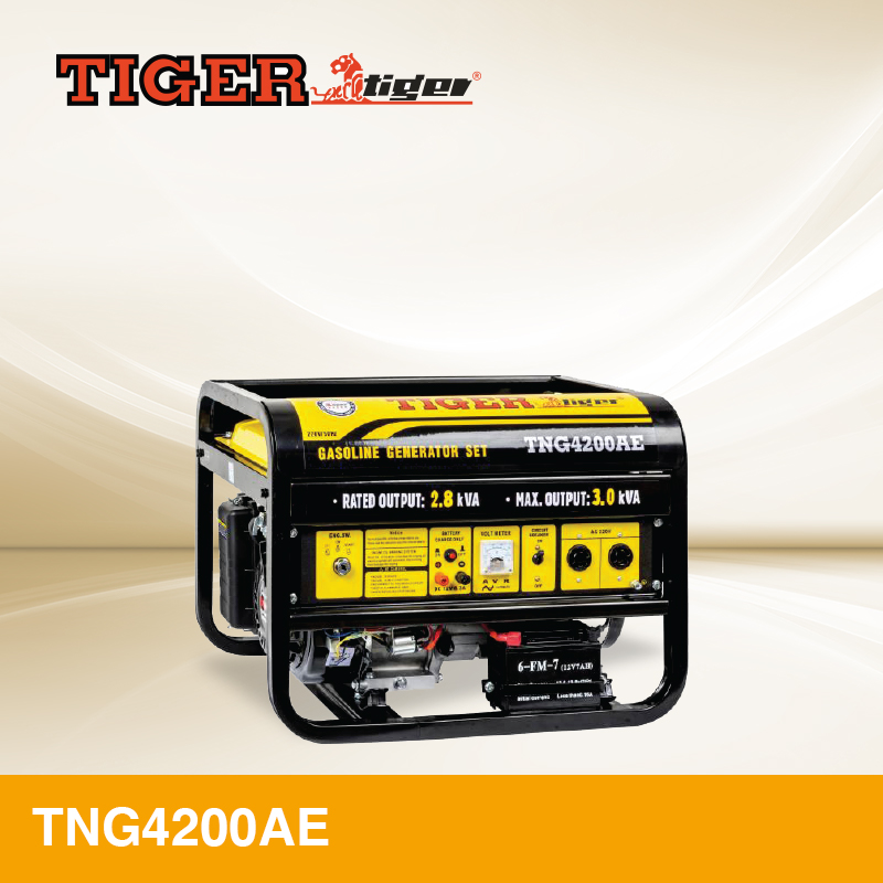 Tiger Generator (TNG4200AE) - VSK International Company Limited